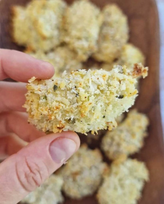 Parmesan Fish Nuggets Recipe | The Woodlands TX Chef